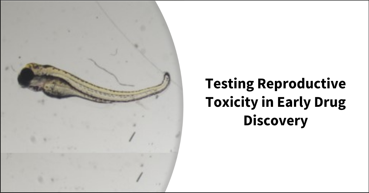 Testing Reproductive Toxicity in Early Drug Discovery Testing Reproductive Toxicity in Early Drug Discovery